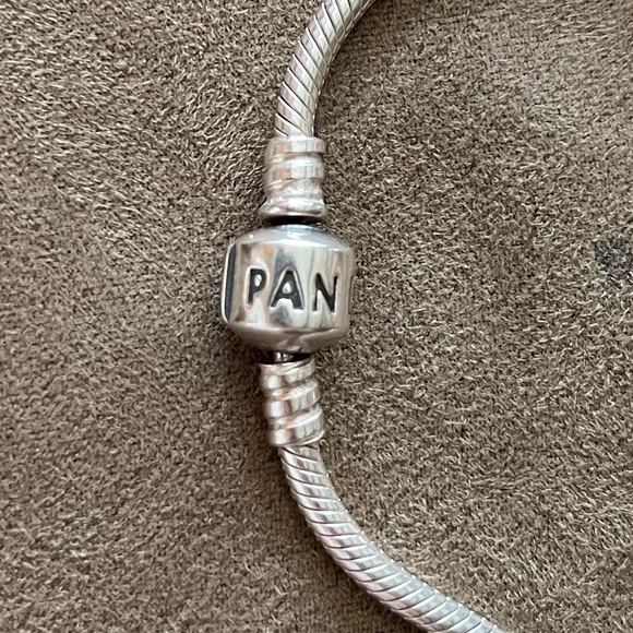 Pandora | Jewelry | Pandora Snake Bracelet With 4 Pandora Charms | Poshmark